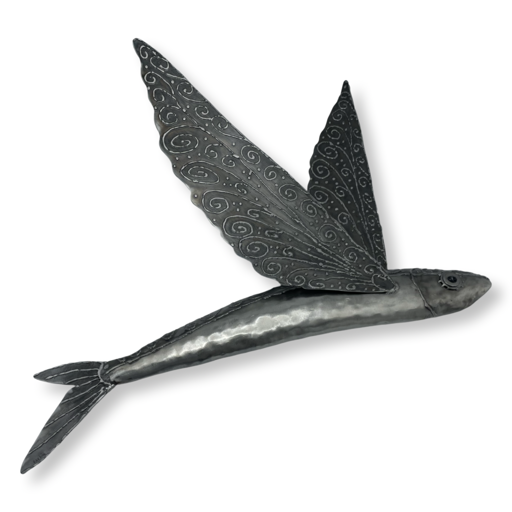 Mālolo, Hawaiian Flying Fish, Coated Steel by Brian Savage - Volcano ...