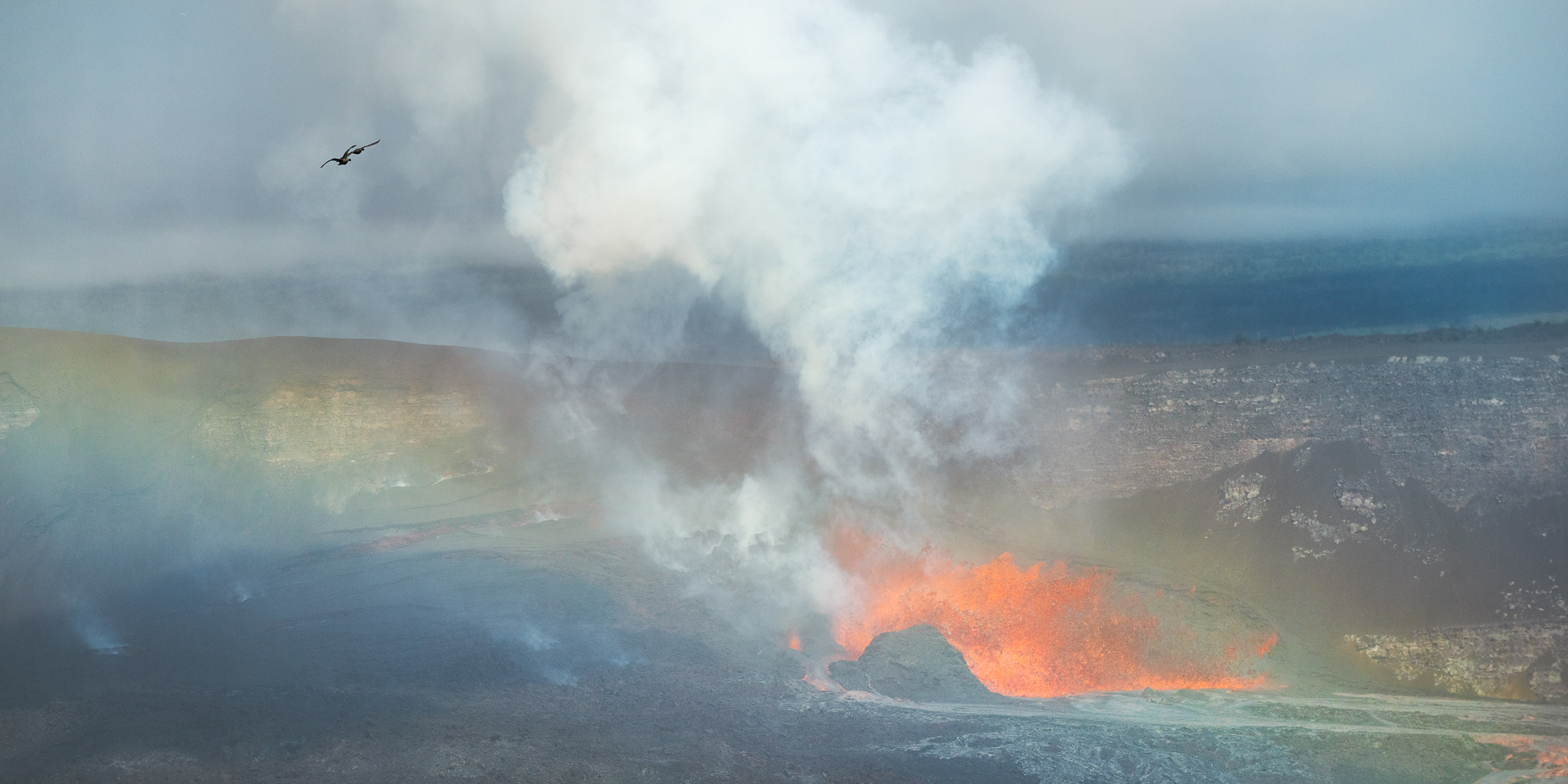 Nēnē, Rainbow, and the Lava Fountain, Photograph by Ryan Ikeuchi ...